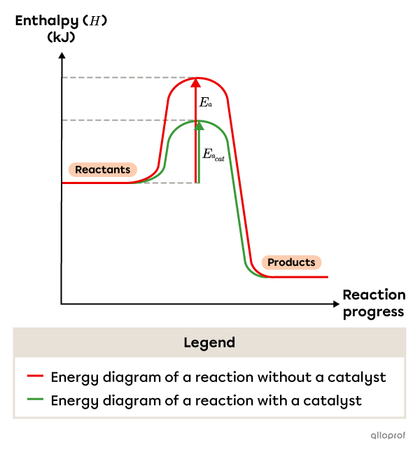 Catalysts | Alloprof