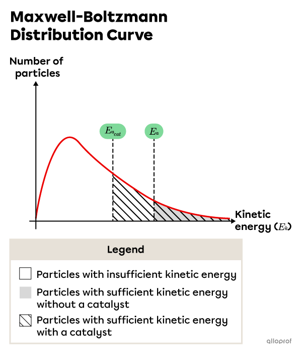Catalysts | Alloprof