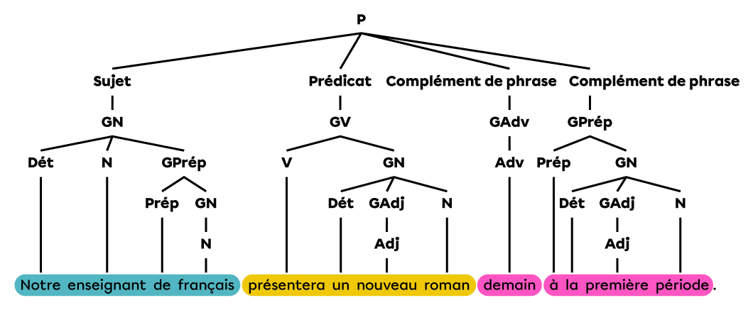 L’analyse de la phrase | Alloprof