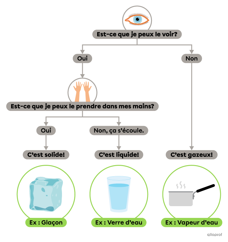 L’état solide, liquide et gazeux | Primaire | Alloprof