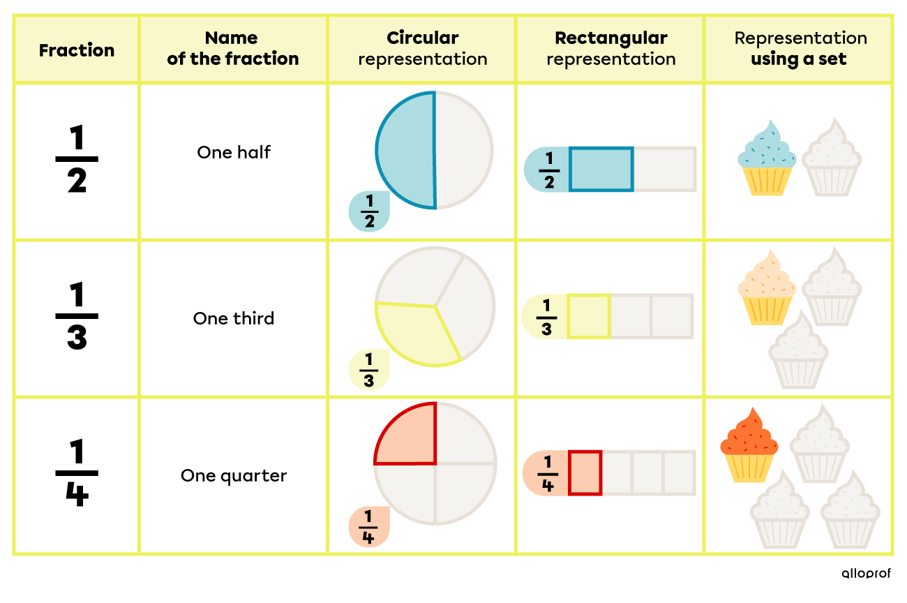 Representing a Fraction | Elementary | Primaire | Alloprof
