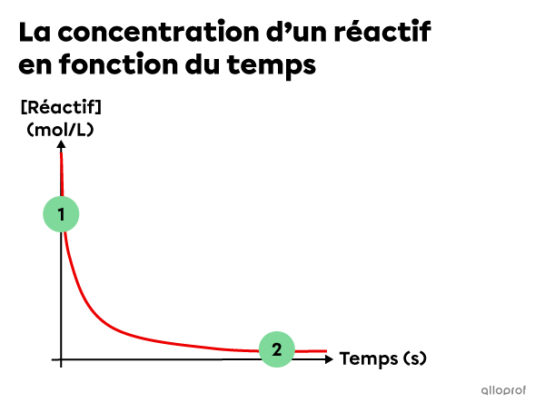 Les vitesses de réaction moyenne et instantanée | Alloprof