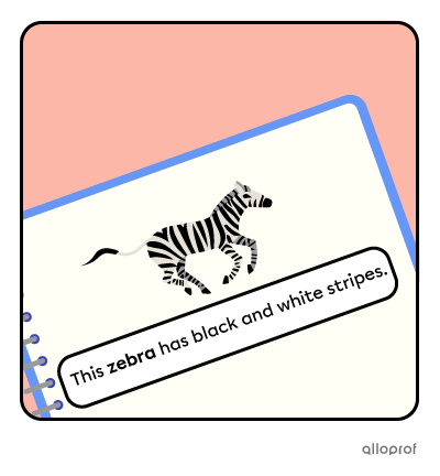 Text Features | Alloprof