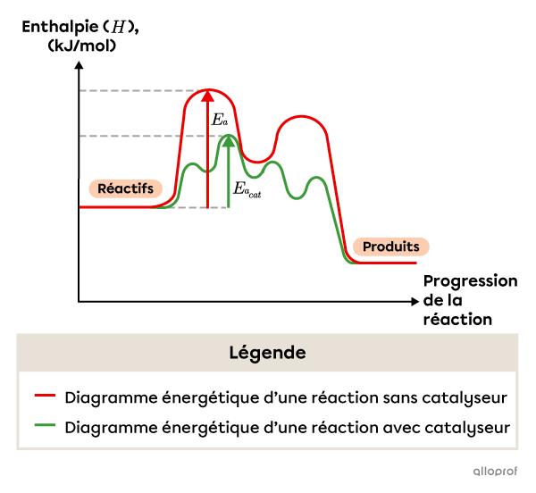Les catalyseurs | Alloprof