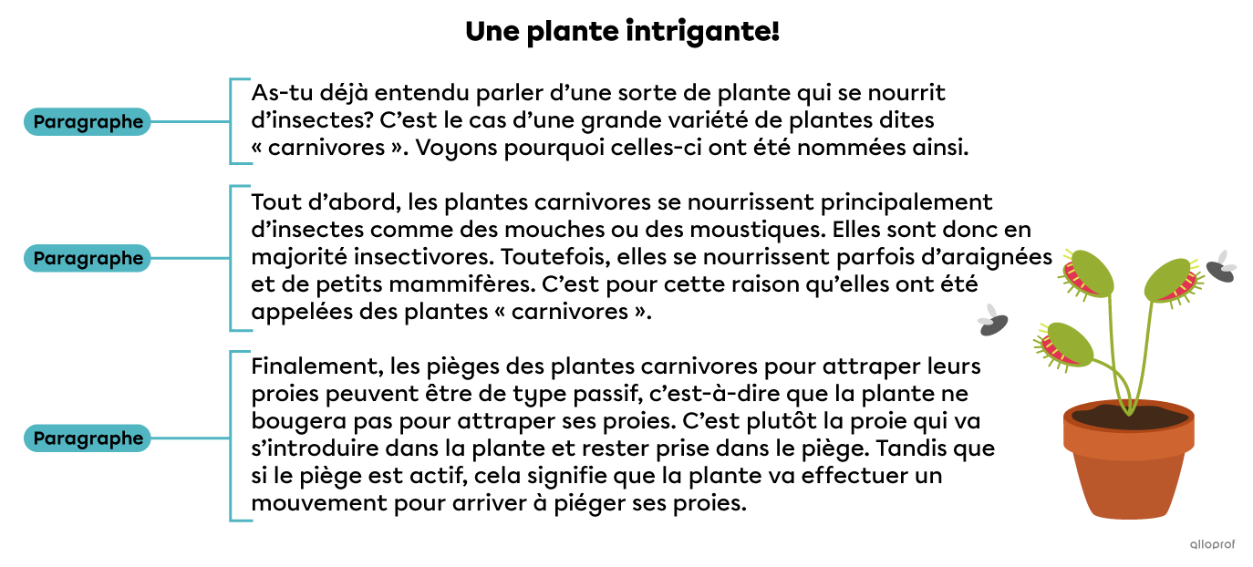 Le paragraphe | Primaire | Alloprof