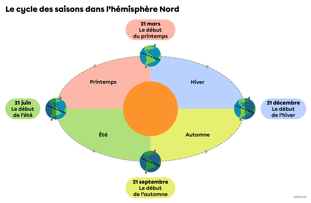 Le cycle des saisons | Primaire | Alloprof