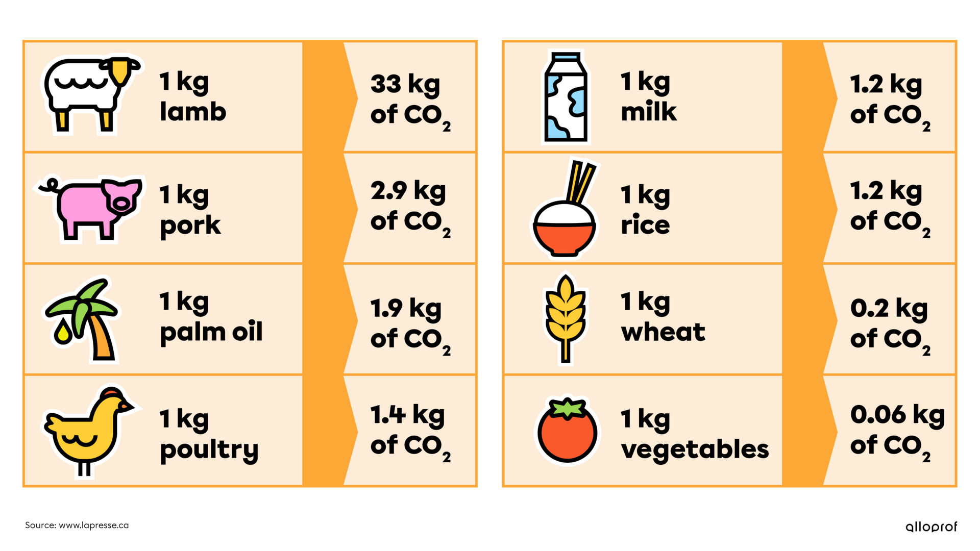 Ecological Footprint | Secondary | Alloprof