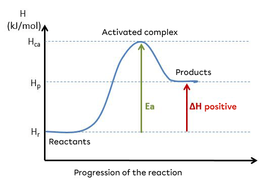 Endothermic Reactions in Detail | Alloprof