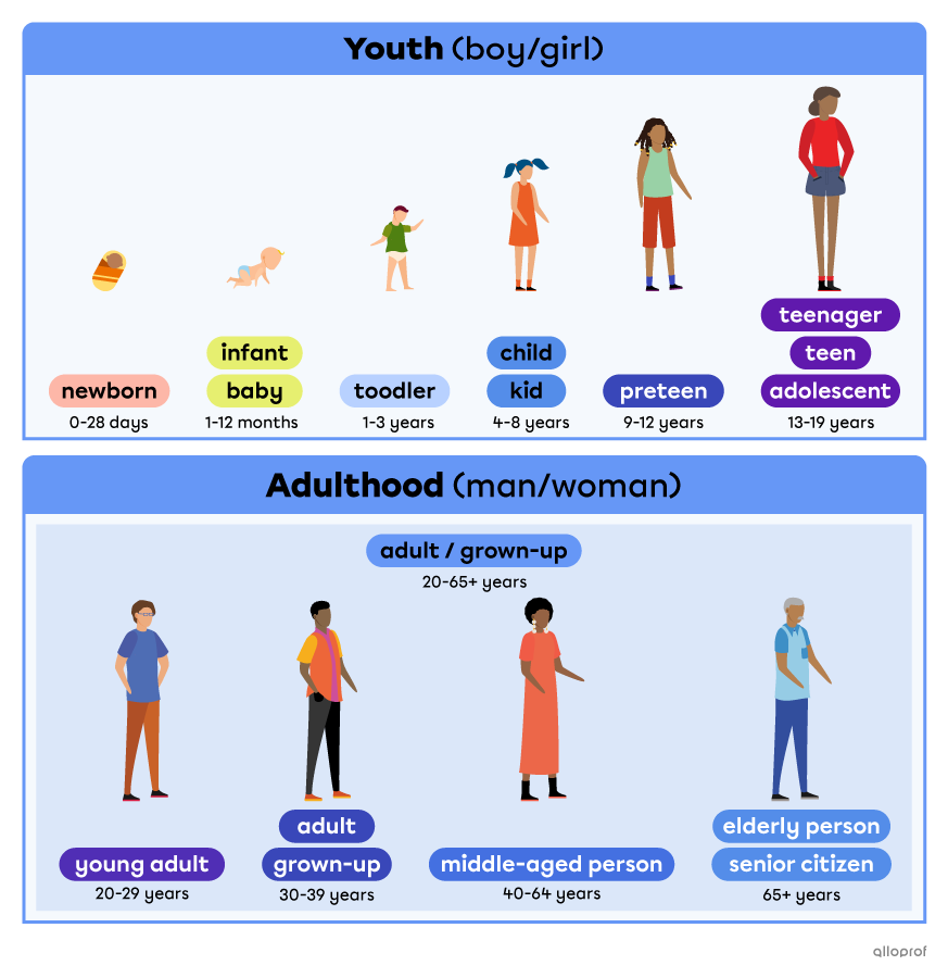 Age Groups – Vocabulary | Alloprof