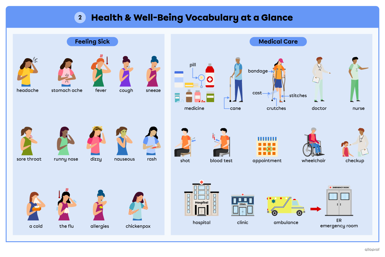 Health & Well-Being – Vocabulary | Alloprof