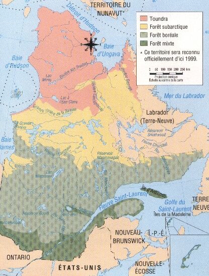 L'exploitation forestière au Québec | Alloprof