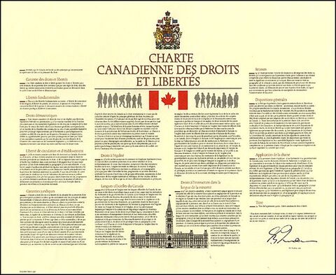 L'histoire des droits et libertés (notions avancées) | Secondaire ...