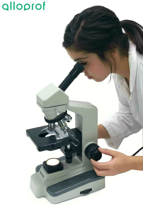 L'utilisation du microscope | Secondaire | Alloprof