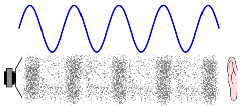 Les ondes sonores et les décibels | Alloprof