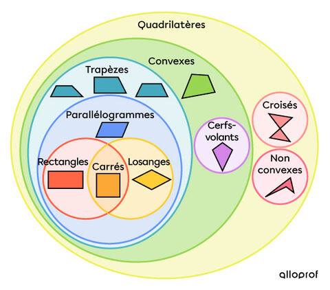 Les quadrilatères | Alloprof