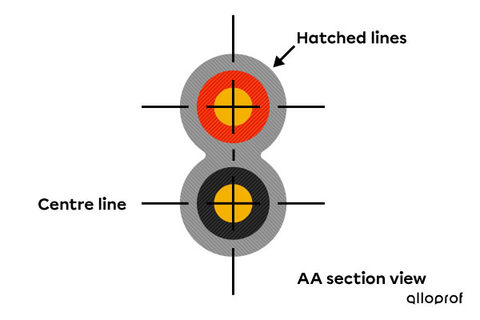 Cross-Sections and Sections | Secondaire | Alloprof