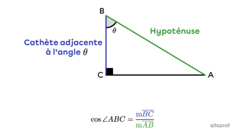 Le rapport trigonométrique cosinus | Secondaire | Alloprof