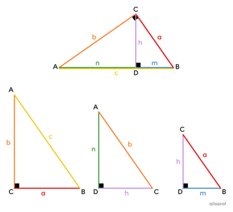 Metric Relations in a Right Triangle | Secondaire | Alloprof