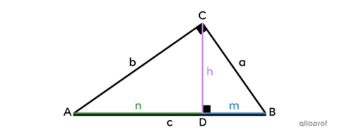 Metric Relations in a Right Triangle | Secondaire | Alloprof