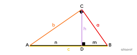 Les relations métriques dans le triangle rectangle | Secondaire | Alloprof