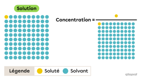 La concentration | Secondaire | Alloprof