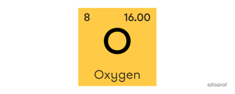 Nomenclature Rules | Secondaire | Alloprof