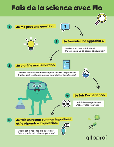 Affiches : les étapes de la démarche scientifique | Alloprof