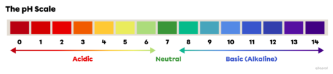 The pH Scale and Acid-Base Indicators | Secondaire | Alloprof