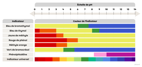L’échelle de pH et les indicateurs acidobasiques | Secondaire | Alloprof