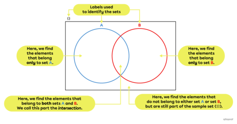 The Venn Diagram | Secondaire | Alloprof