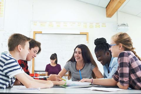 Comprendre le système d'éducation québécois | Alloprof