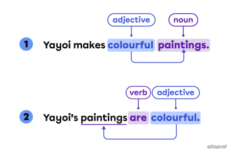 Adjectives | Secondary | Alloprof