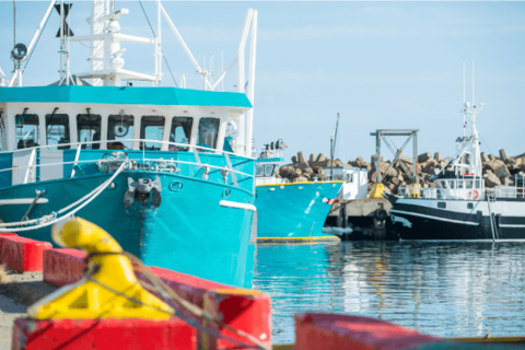Le territoire touristique du Québec - La Gaspésie | Secondaire | Alloprof