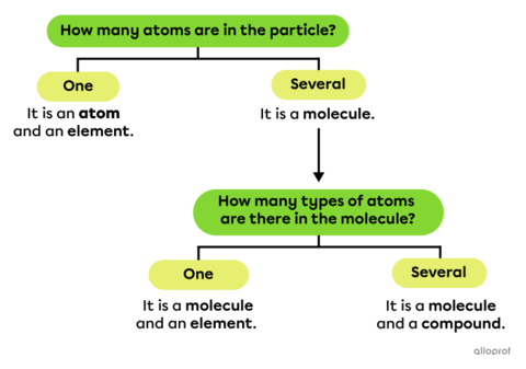 Organization of Matter | Secondaire | Alloprof