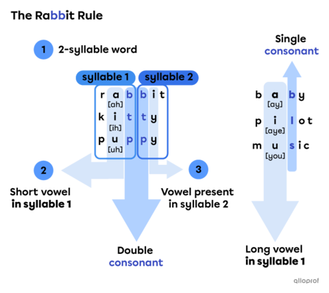 Double Consonants—Spelling Rules | Alloprof