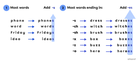 Plural Spellings—Spelling Rules | Alloprof