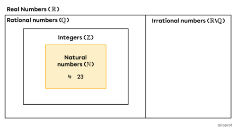 Natural Numbers (ℕ) | Secondaire | Alloprof