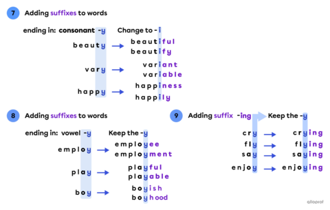 Words Ending in -Y — Spelling Rules | Alloprof