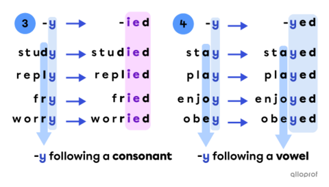 Words Ending in -Y—Spelling Rules | Alloprof