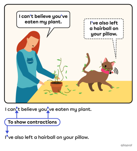 Punctuation—Apostrophe (') | Alloprof