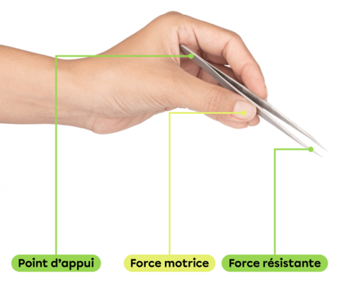 Le levier | Alloprof