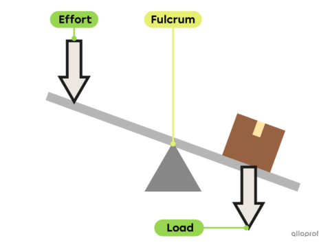 The Lever | Alloprof