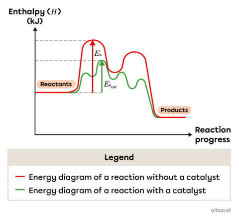 Catalysts | Alloprof