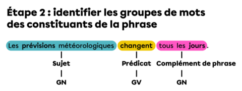 L’analyse de la phrase | Alloprof
