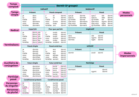 La conjugaison | Alloprof