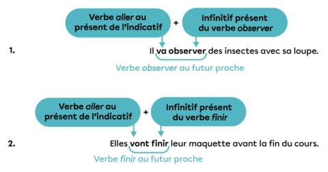 Le futur proche | Primaire | Alloprof