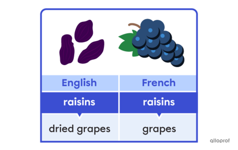 False Cognates (False Friends) | Alloprof