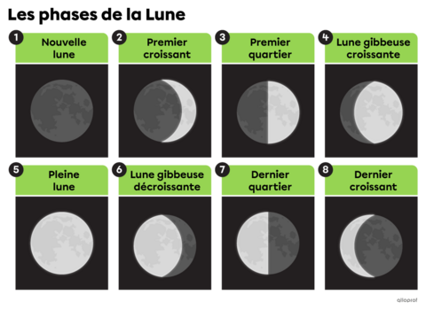 Les phases de la Lune | Primaire | Alloprof