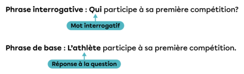 Les mots interrogatifs | Primaire | Alloprof