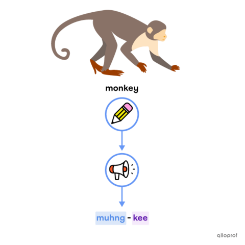 Decoding – Reading Strategies | Alloprof